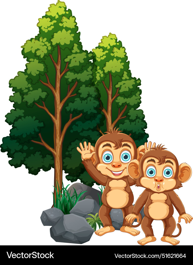 Two monkeys playing near trees and rocks Vector Image