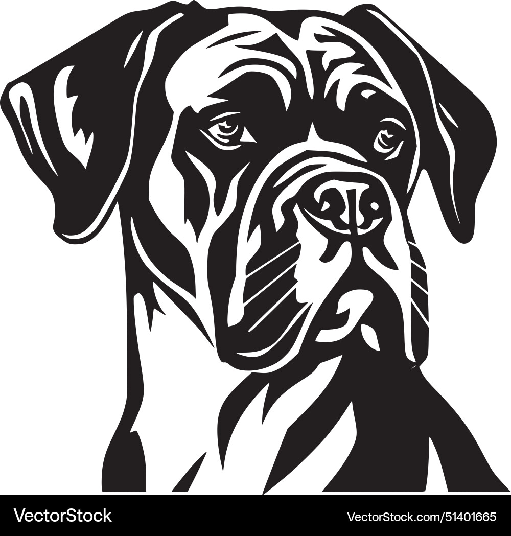 Boxer - black and white isolated icon Royalty Free Vector