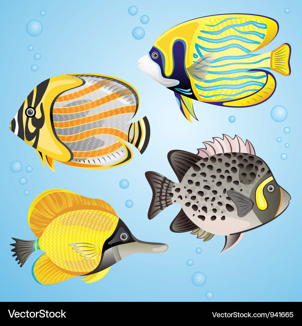 Exotic fish set Royalty Free Vector Image - VectorStock