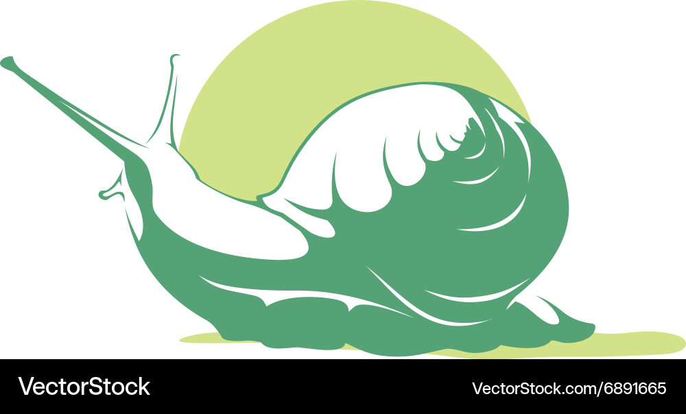 Snail Royalty Free Vector Image - VectorStock