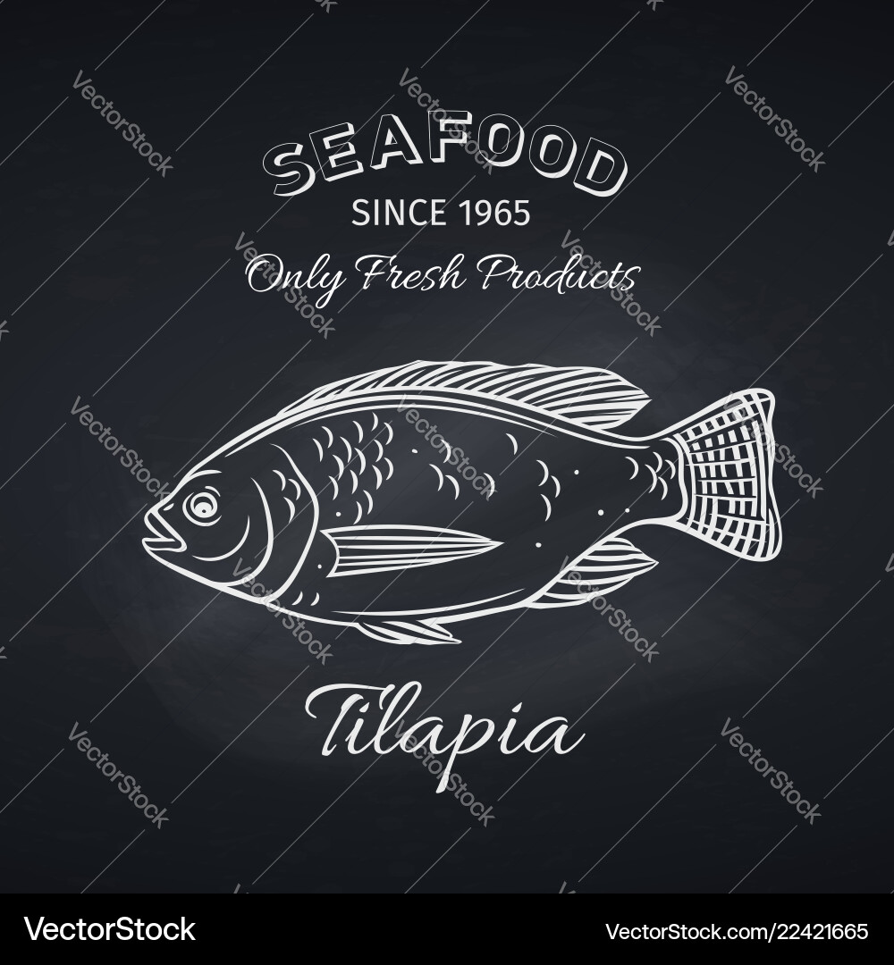 Tilapia hand drawn icon badge Royalty Free Vector Image