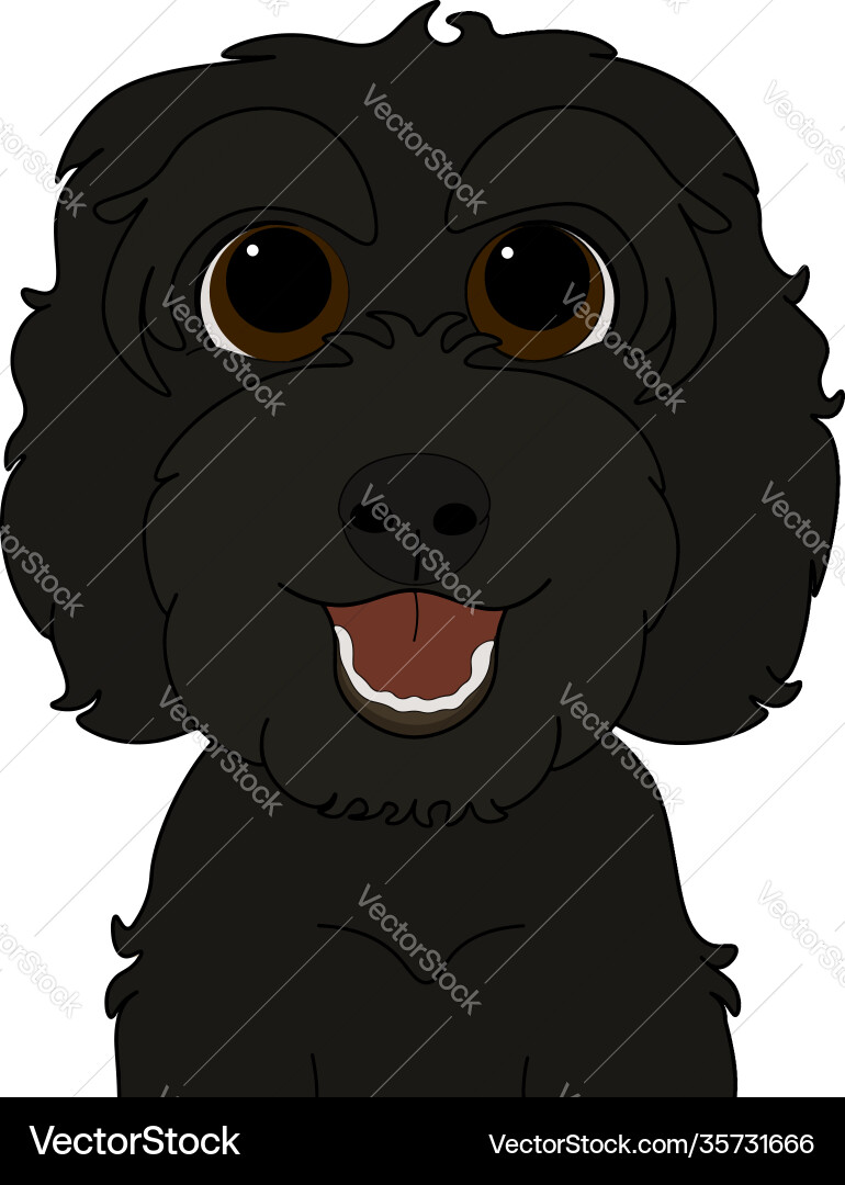 Black cockapoo labradoodle Royalty Free Vector Image
