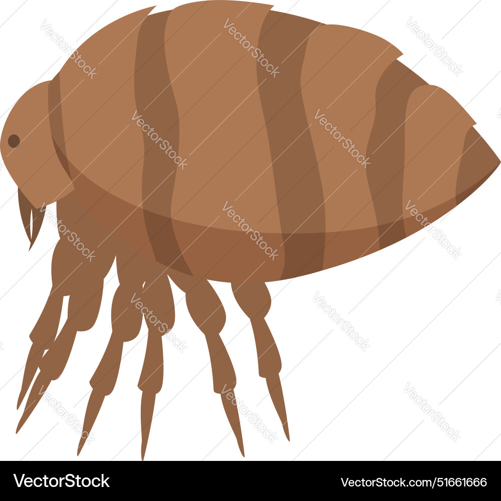 Flea insect walking with its six legs Royalty Free Vector