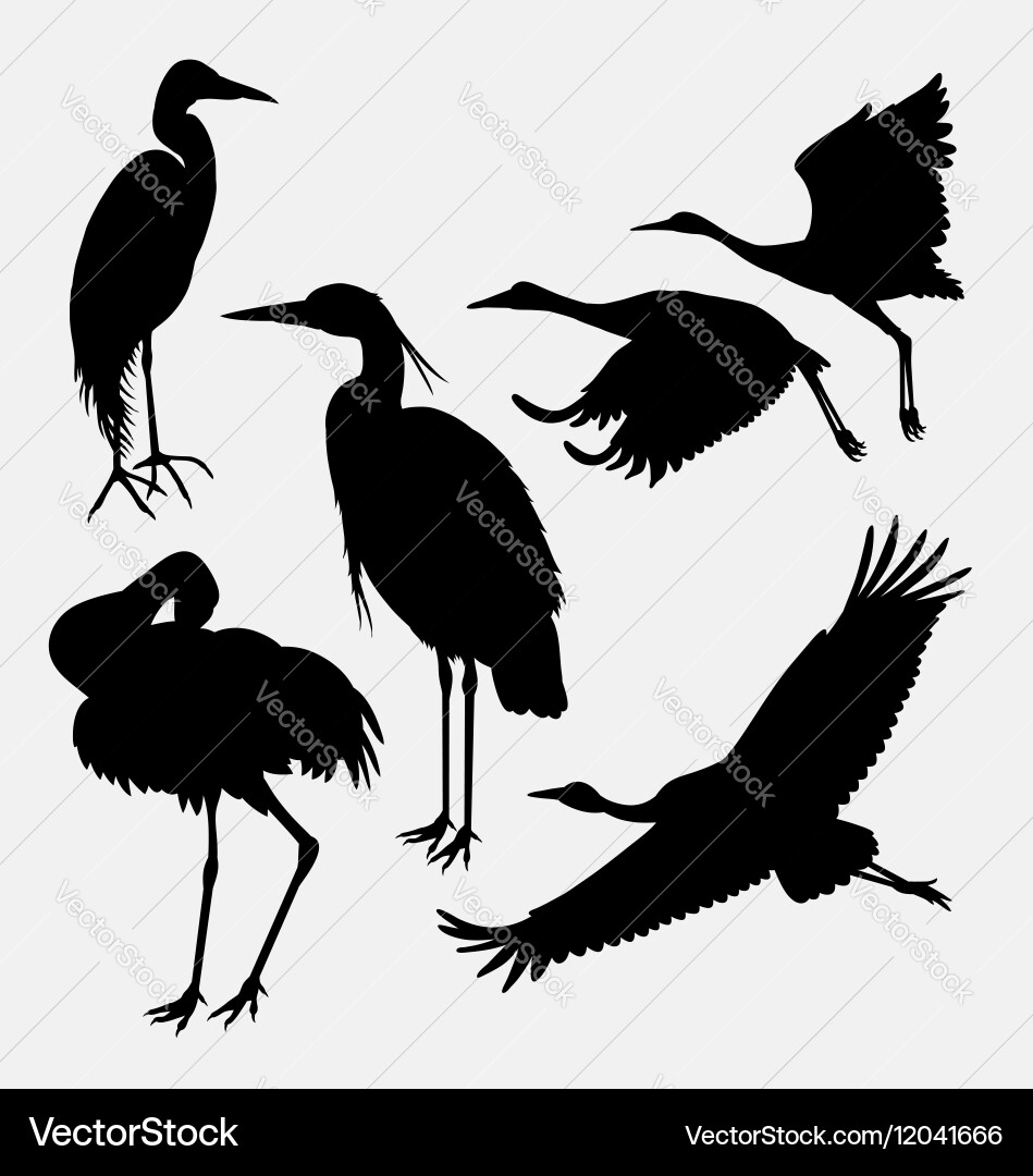 Stork heron egret and crane silhouette Royalty Free Vector