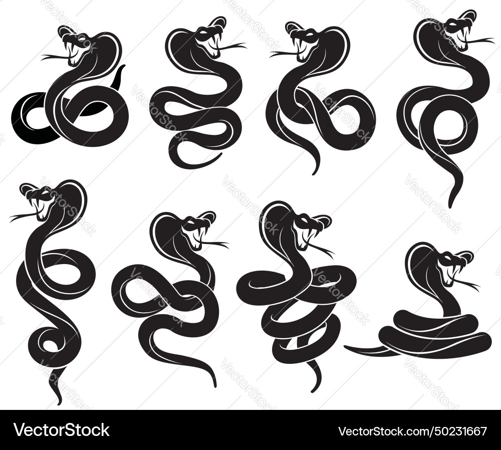 Collection of cobras Royalty Free Vector Image