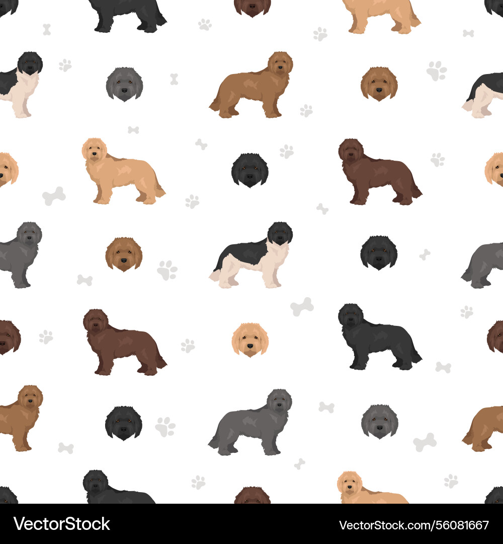 Newfypoo seamless pattern newfoundland - standard Vector Image