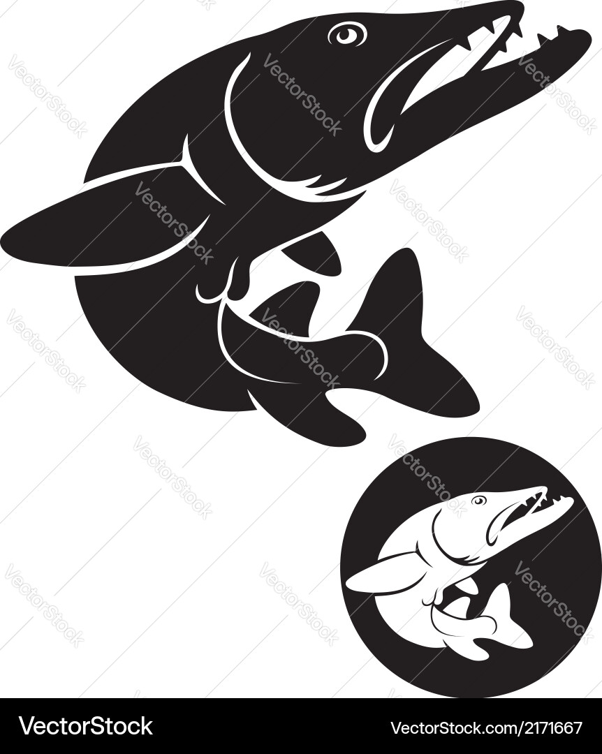 Pike Royalty Free Vector Image - VectorStock