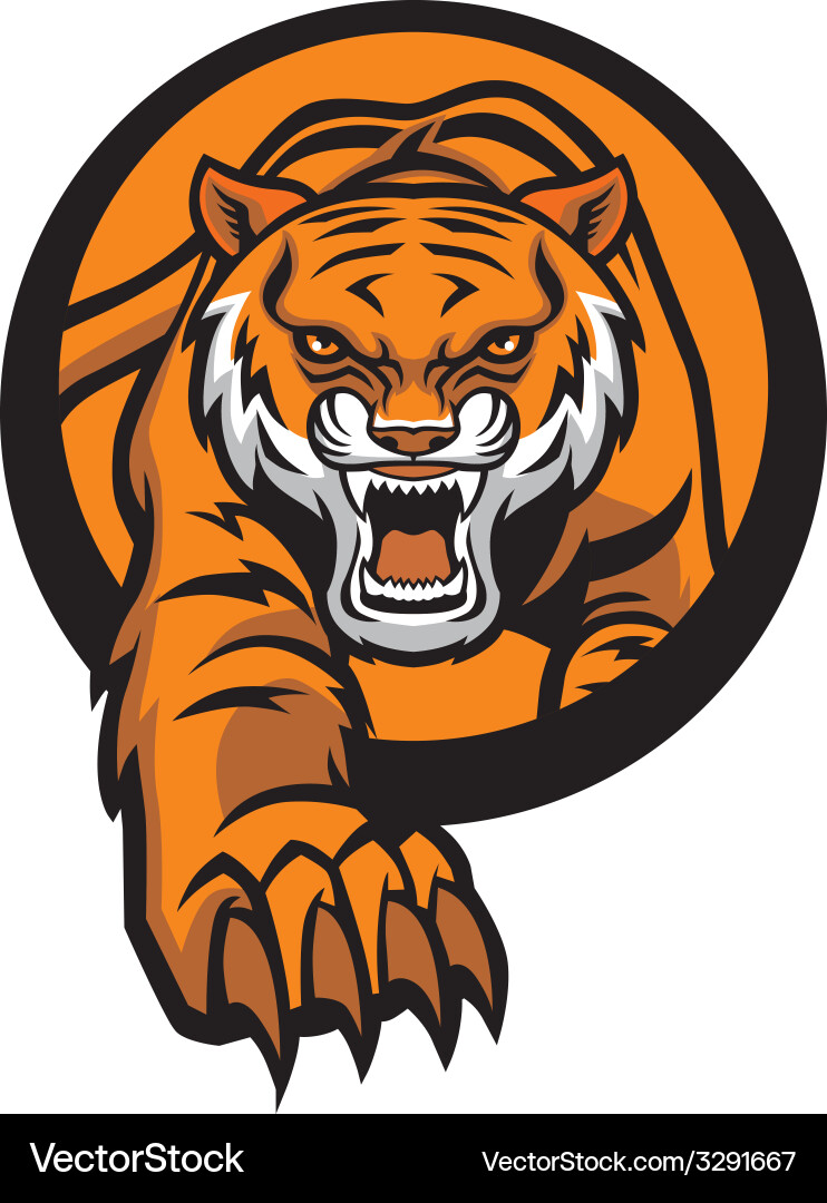 Tiger Circle Mascot Vector Images (over 330)