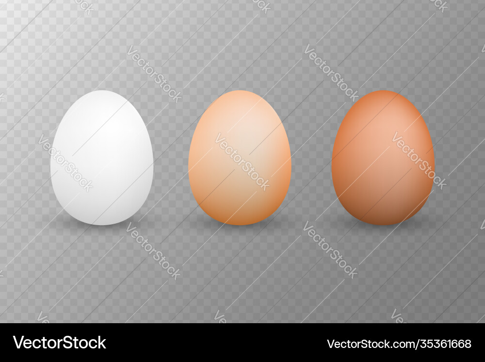 3d realistic aggs flat Royalty Free Vector Image