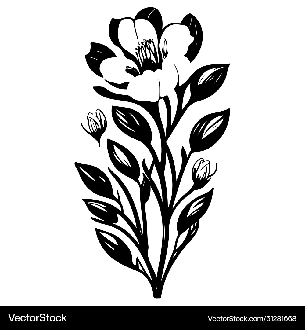 Freesia flower sketch Royalty Free Vector Image