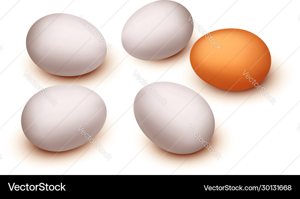 Three eggs isolated Royalty Free Vector Image - VectorStock