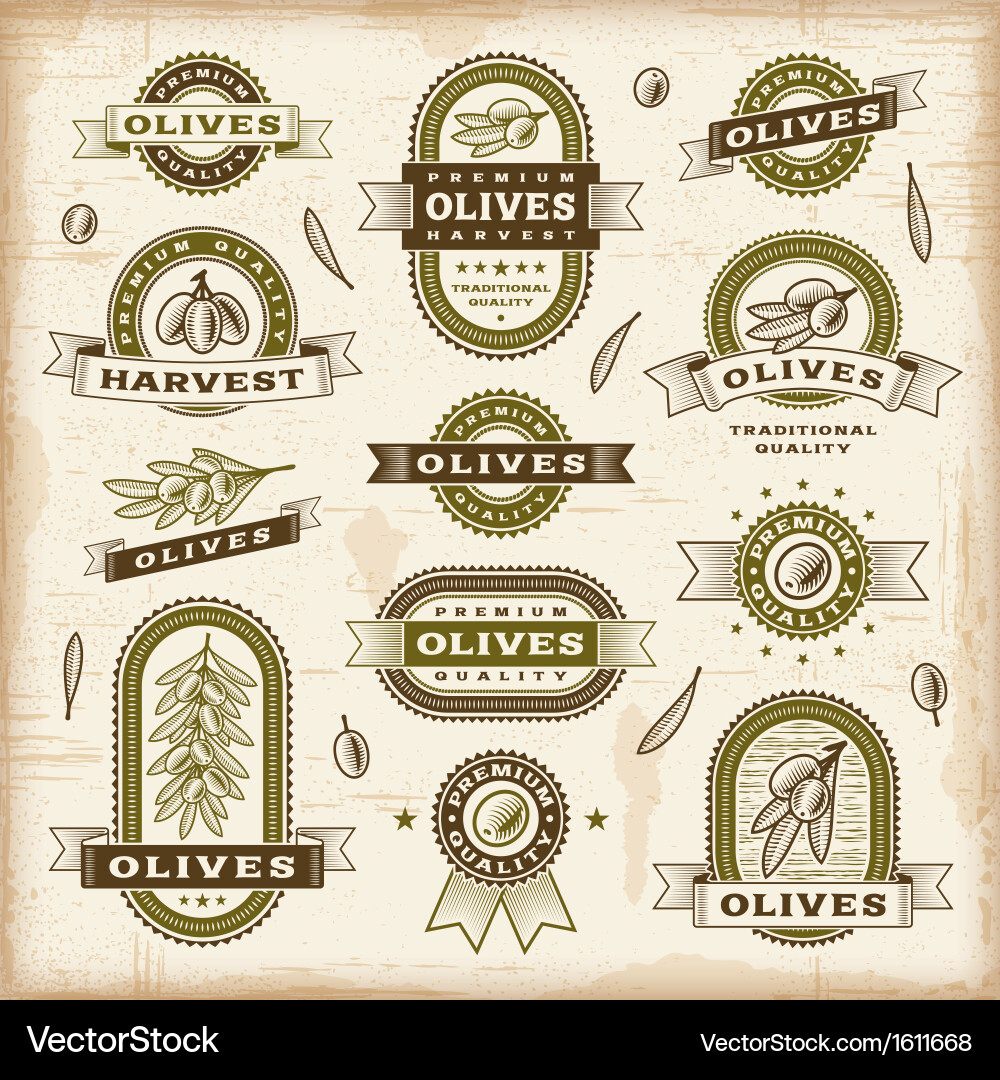 Vintage olive labels set Royalty Free Vector Image