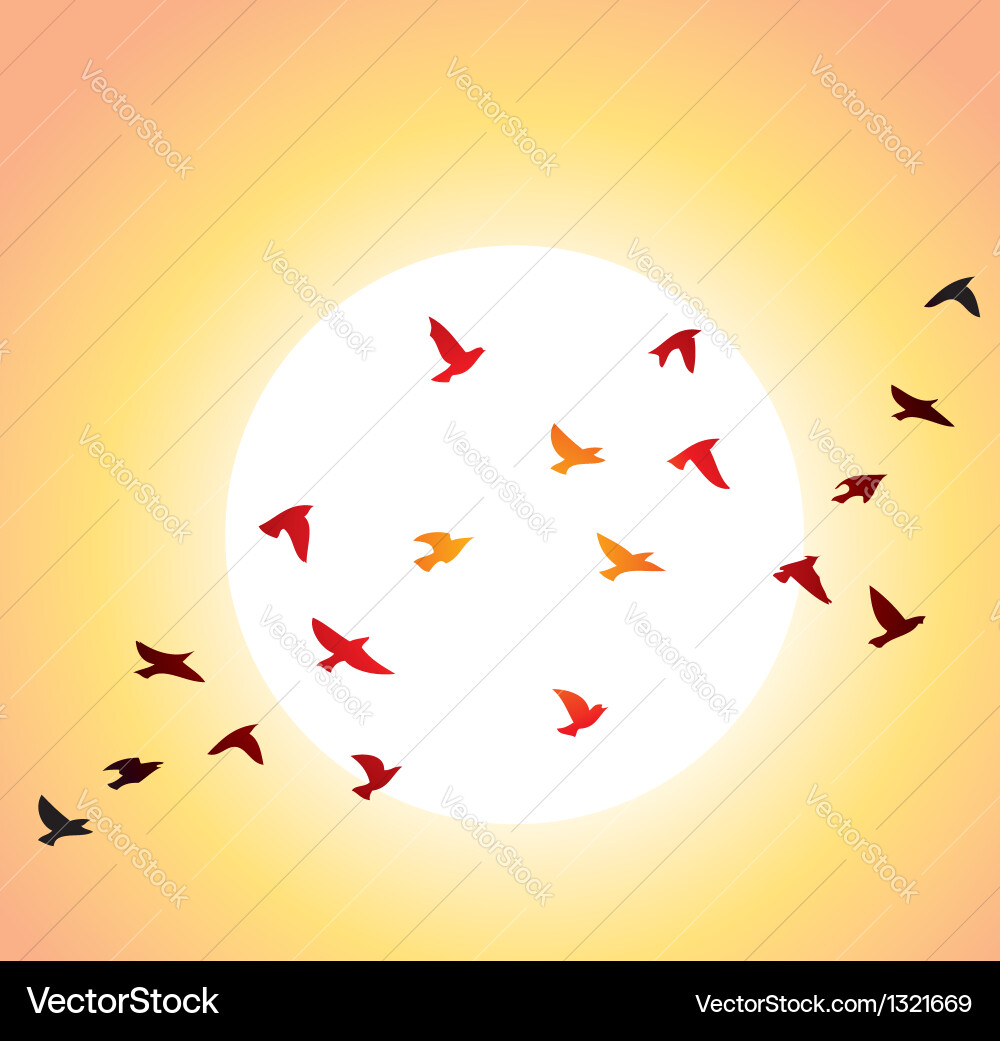 Birds and sun Royalty Free Vector Image - VectorStock