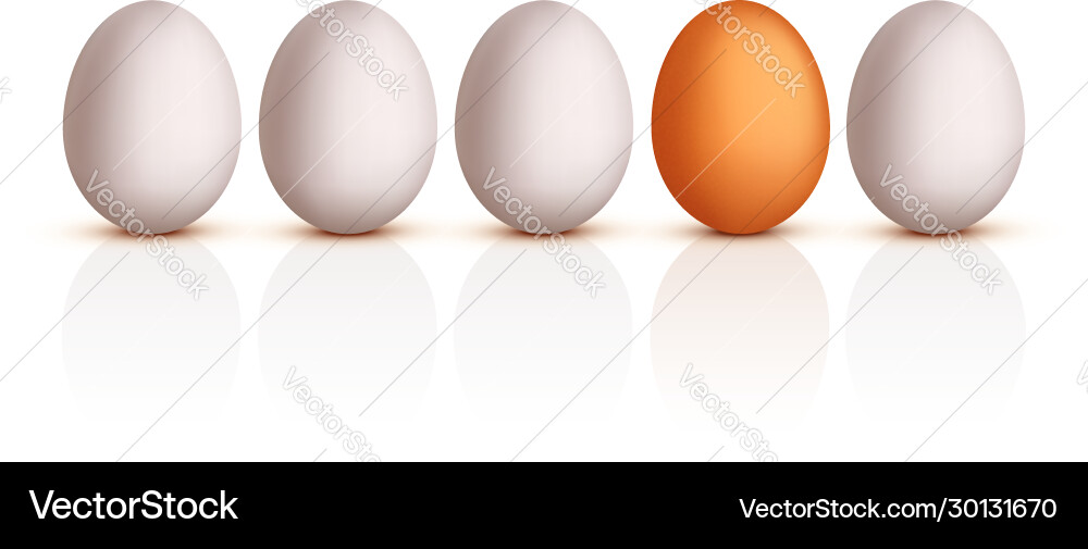 Picture egg set Royalty Free Vector Image - VectorStock