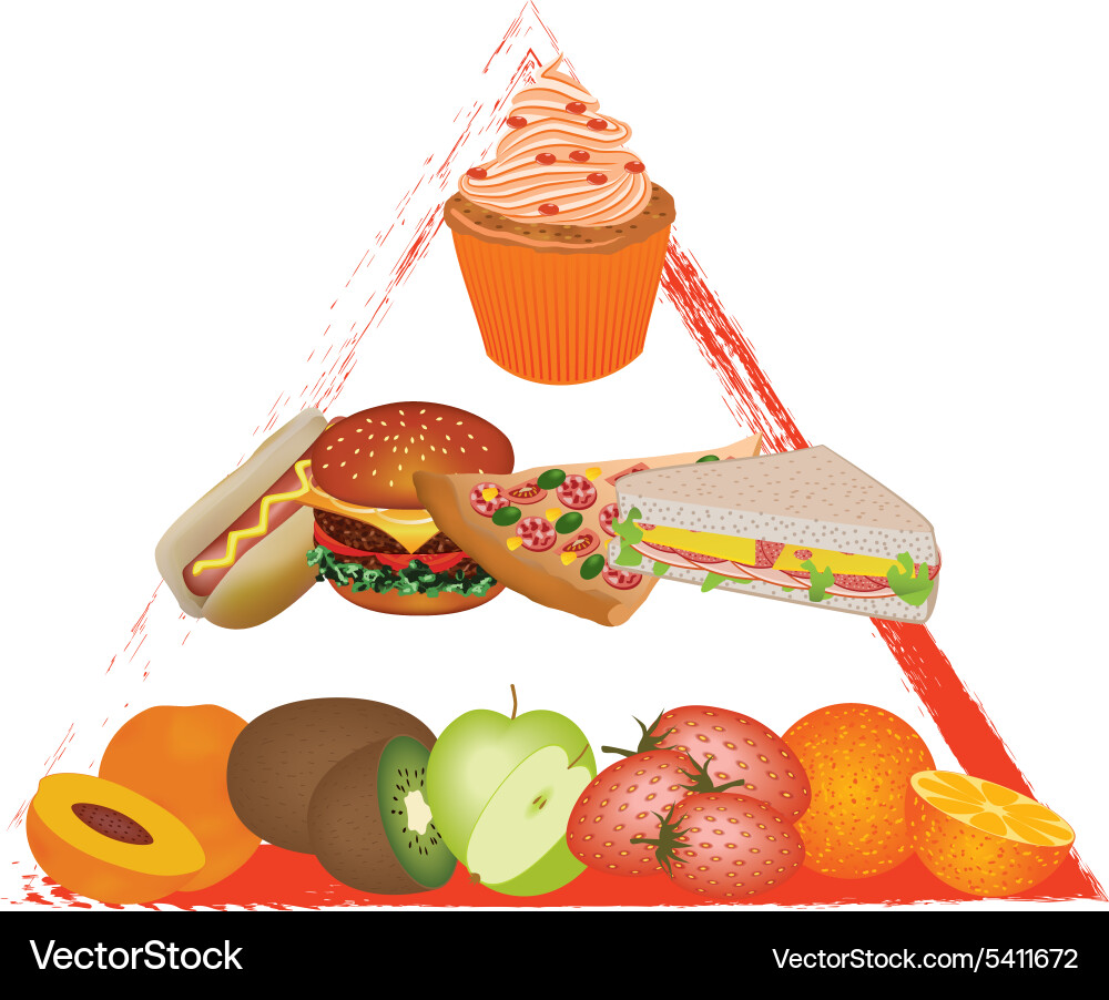 Food pyramid Royalty Free Vector Image - VectorStock