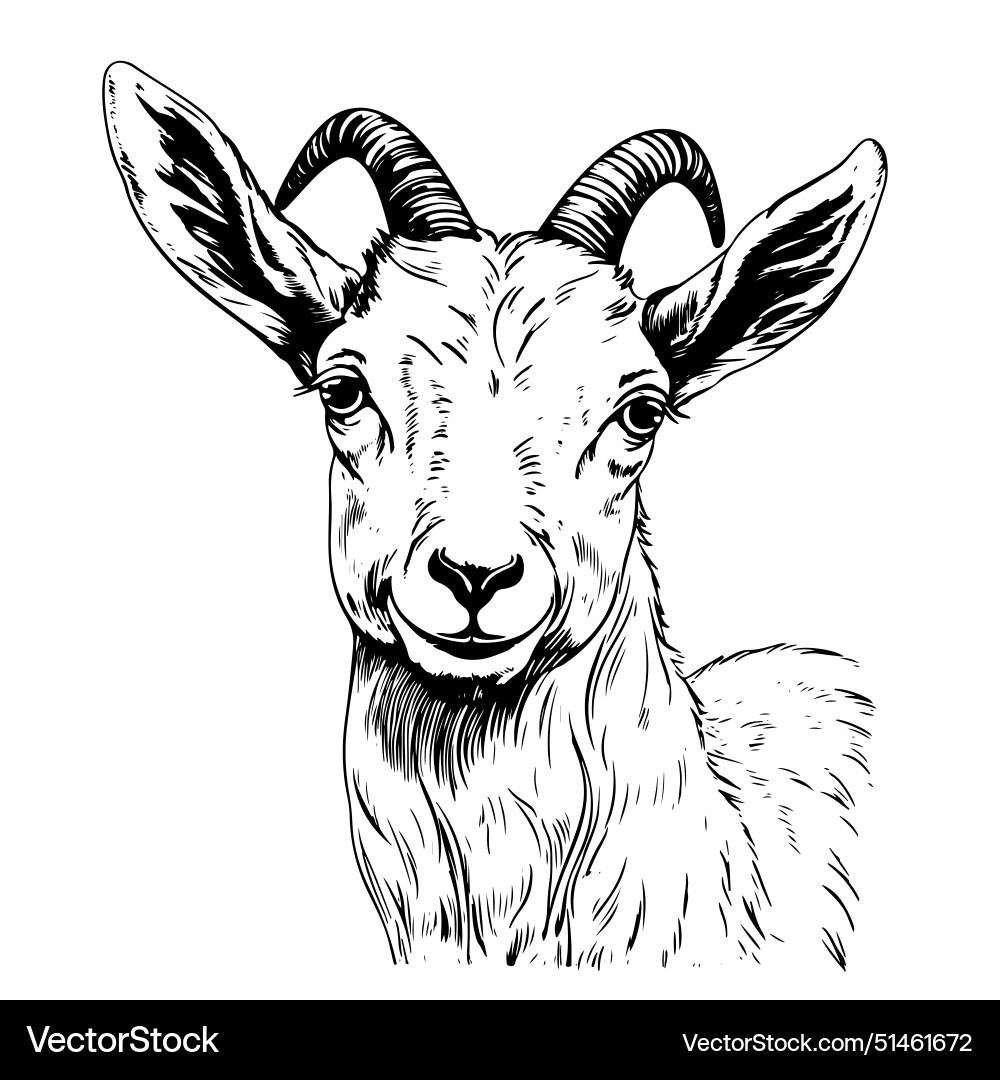 Goat hand drawn Royalty Free Vector Image - VectorStock