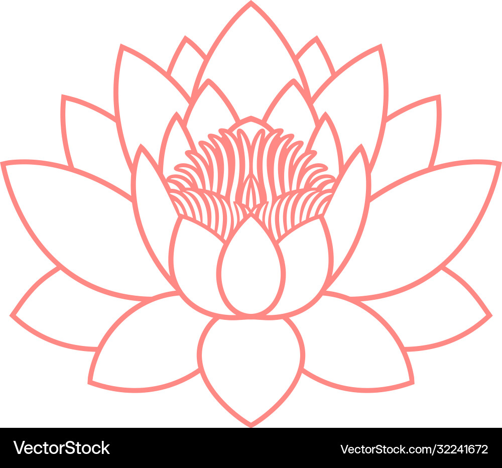 Lotus flower Royalty Free Vector Image - VectorStock