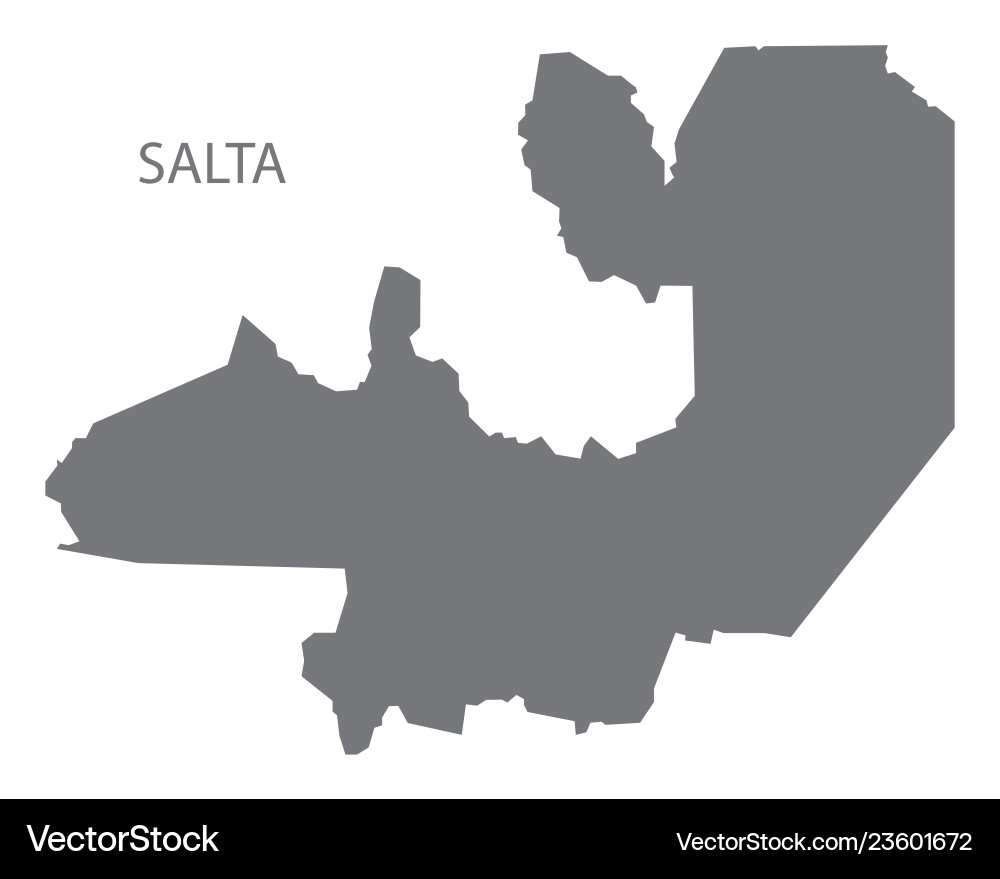 Salta argentina map grey Royalty Free Vector Image
