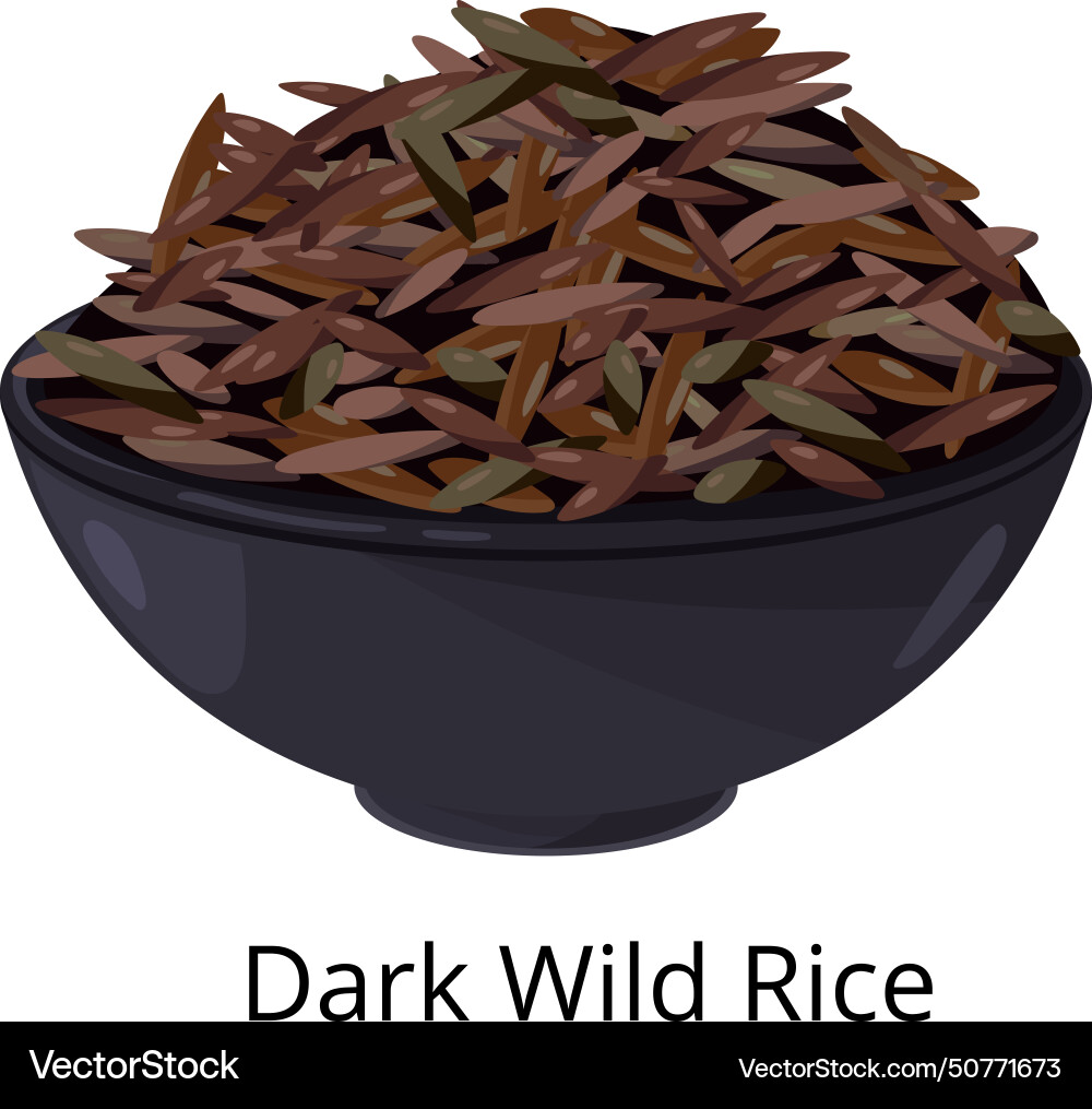 Dark wild rice dish asian grain meal Royalty Free Vector