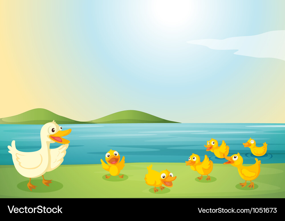 Ducks Royalty Free Vector Image - VectorStock