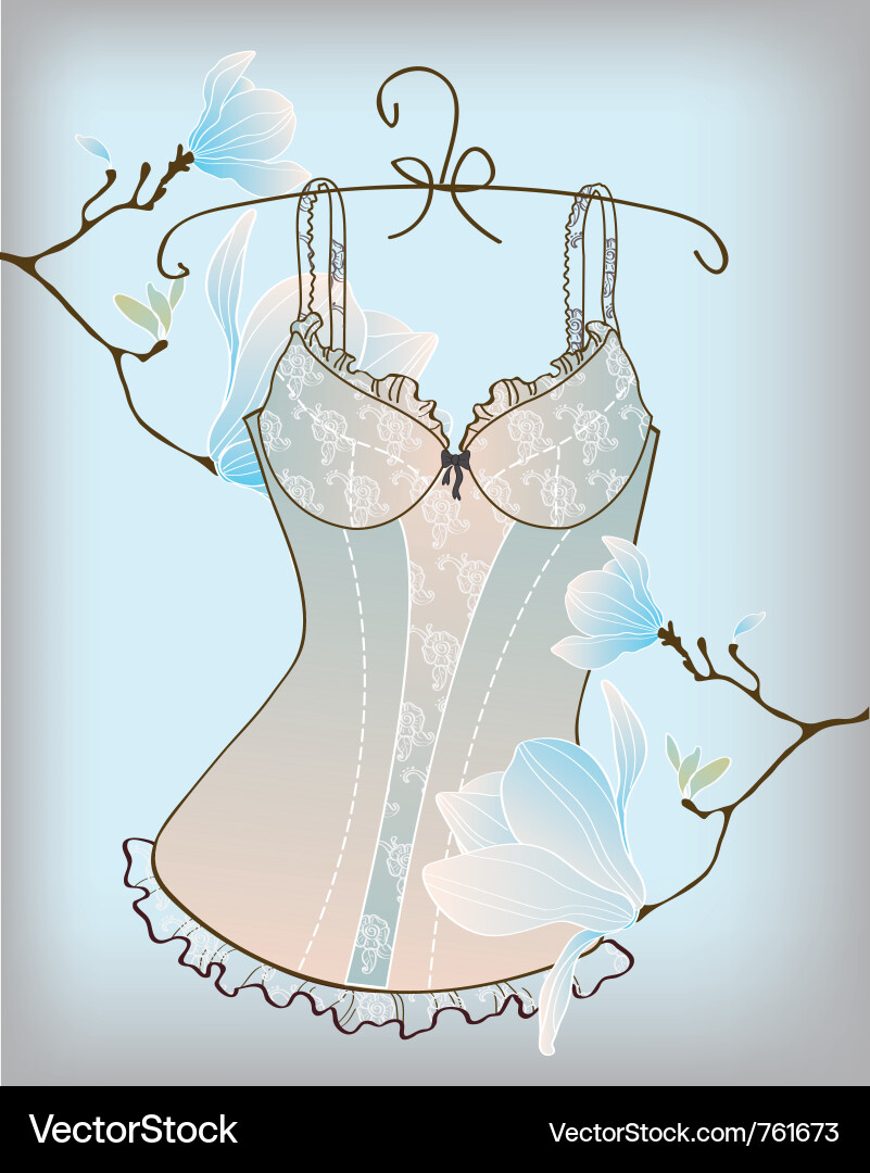 Romantic Lace Lingerie Royalty Free Vector Image
