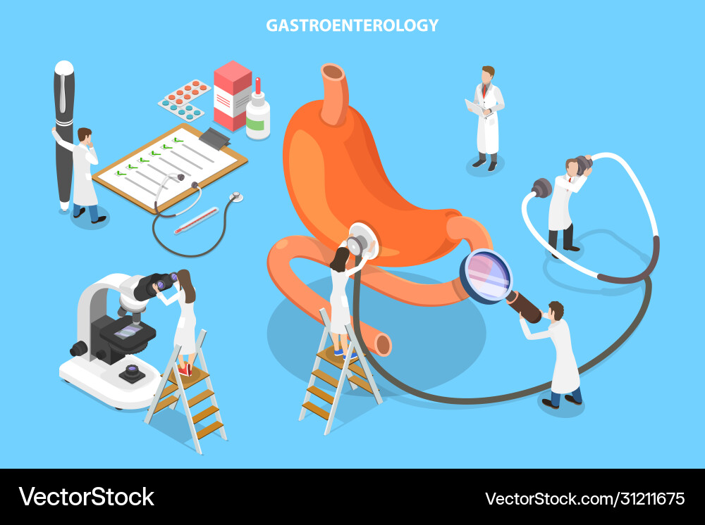 Cecum Vector Images (over 430)