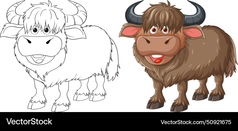 Colorful and outlined yak drawings side Royalty Free Vector