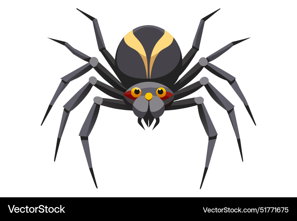 Spider animal flat on white background Royalty Free Vector