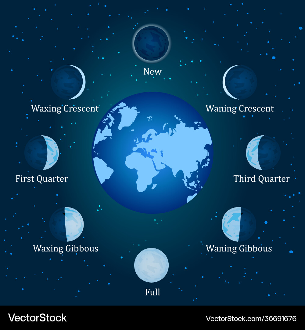 Elementary Diagram Of The Moon Phases Moon Phases, Eclipses, And Tides