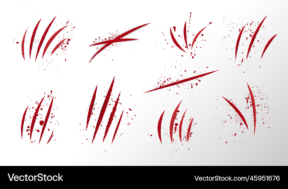 Blood scratches set Royalty Free Vector Image - VectorStock