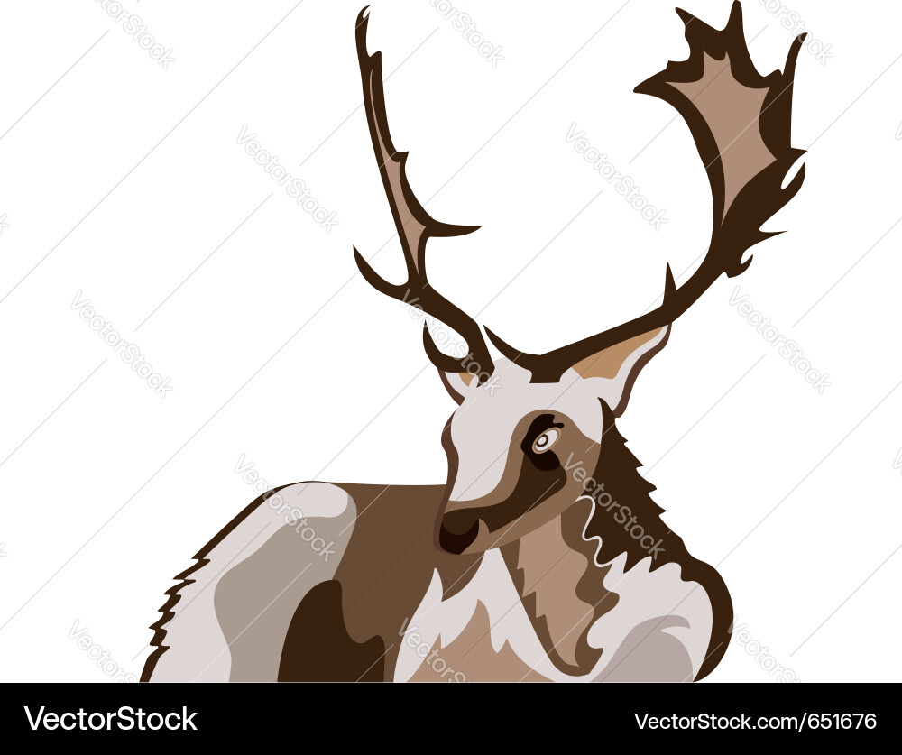 Deer Royalty Free Vector Image - VectorStock