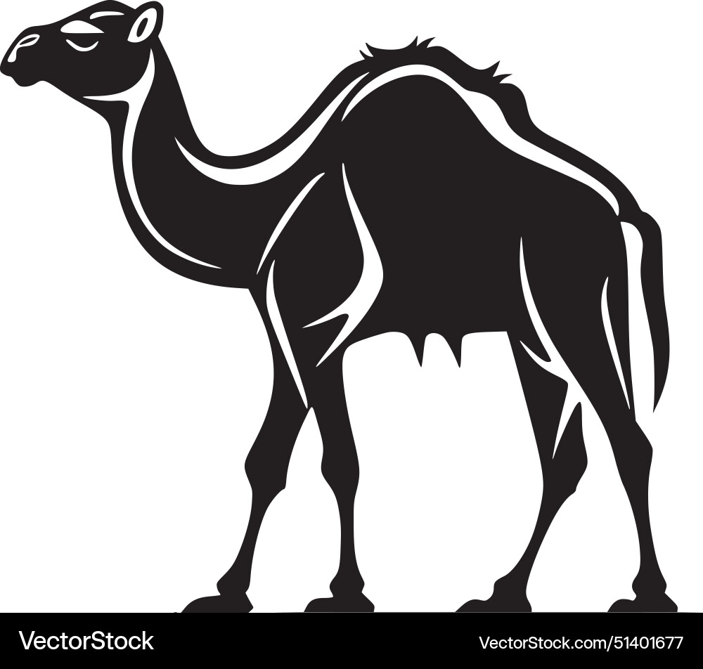 Camel - minimalist and simple silhouette Vector Image