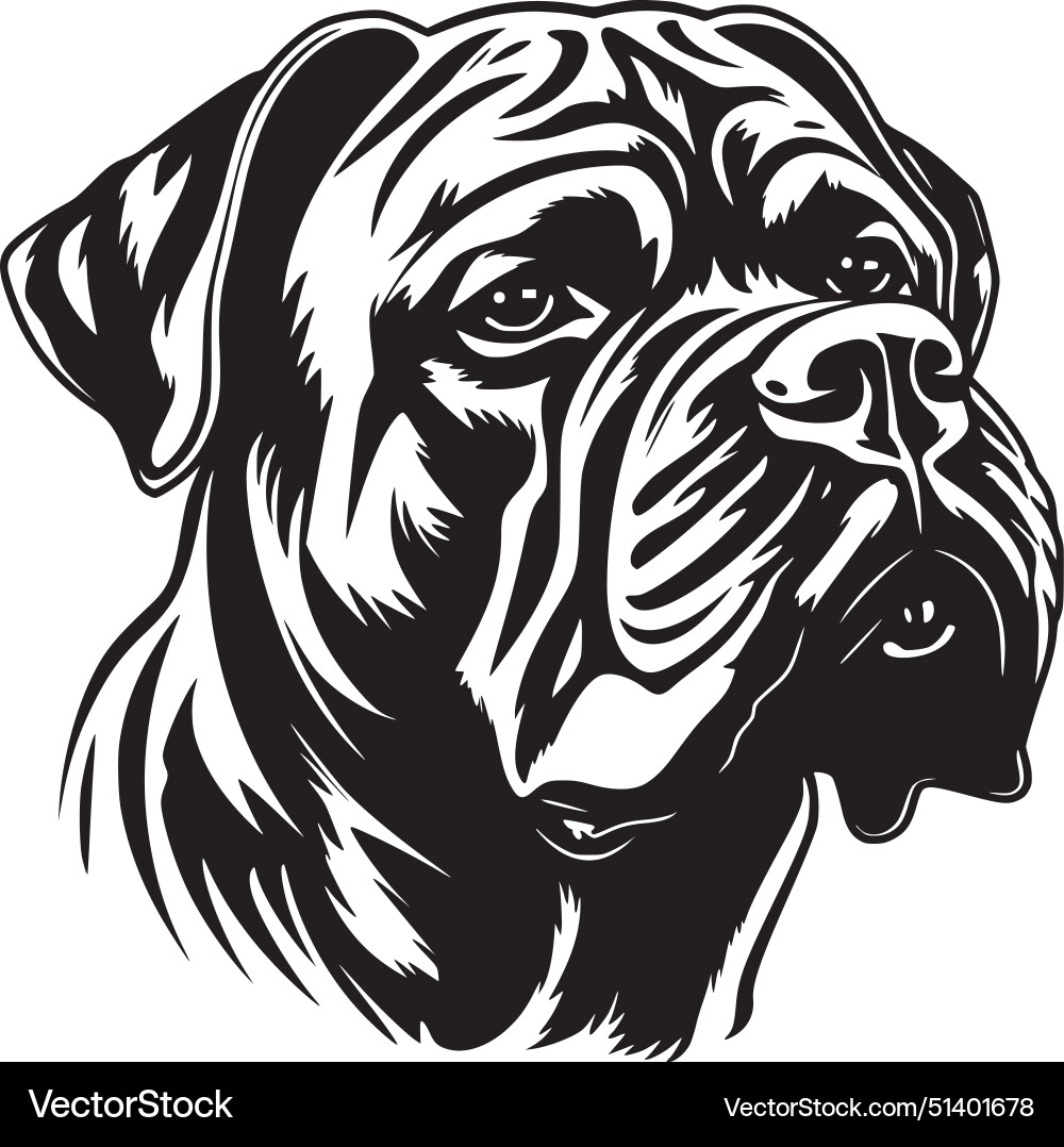Cane corso - minimalist and flat logo Royalty Free Vector