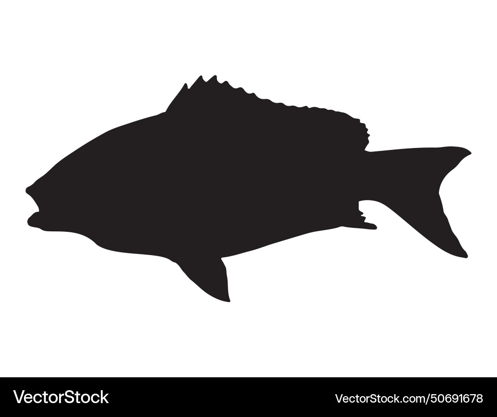 Snapper fish silhouette art Royalty Free Vector Image
