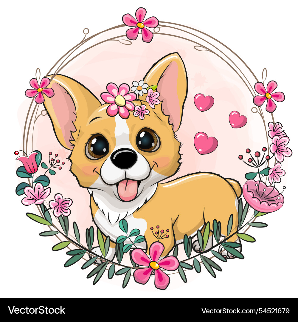 Cartoon corgi with flowers on a white background Vector Image