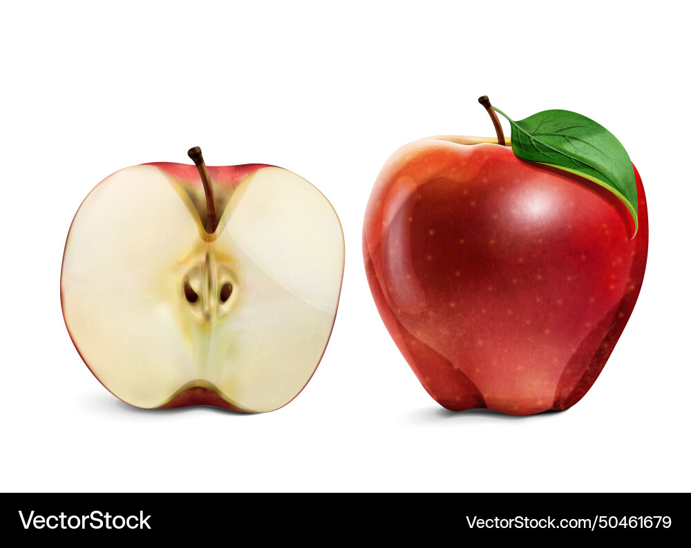 Half and whole juicy apple Royalty Free Vector Image