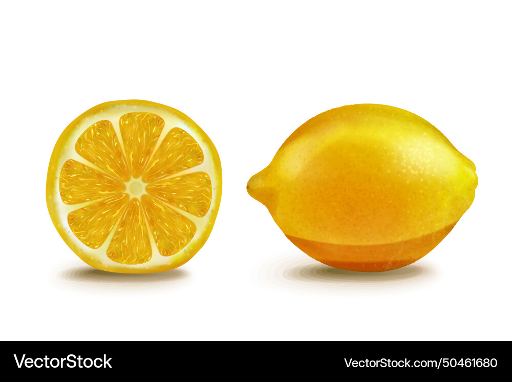 Half and whole yellow lemon Royalty Free Vector Image