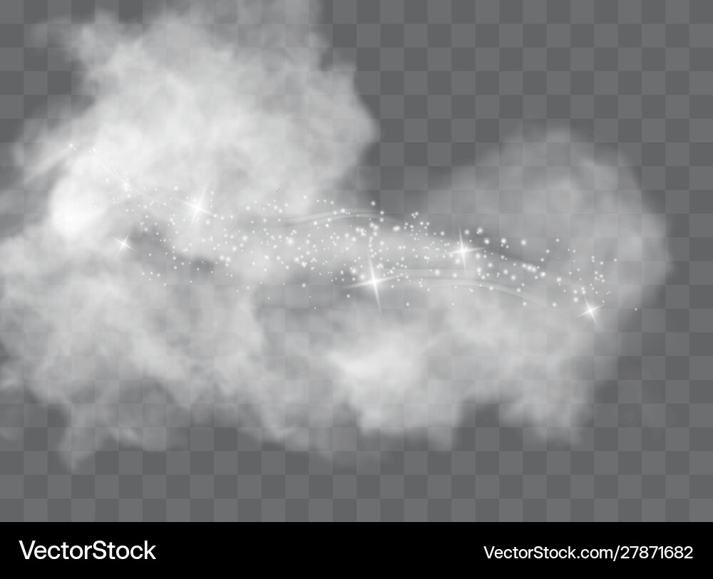 Snow and wind on a transparent background white Vector Image