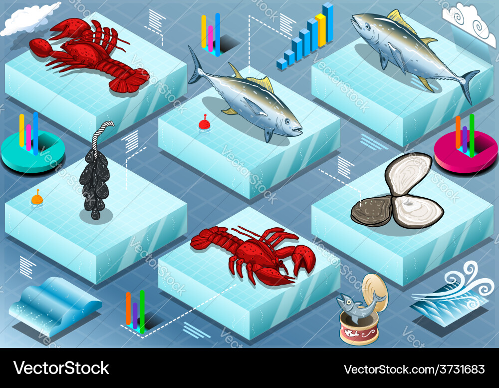 Marine Life Infographic - Isometric View Vector Image