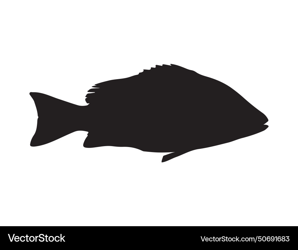 Snapper fish silhouette art Royalty Free Vector Image