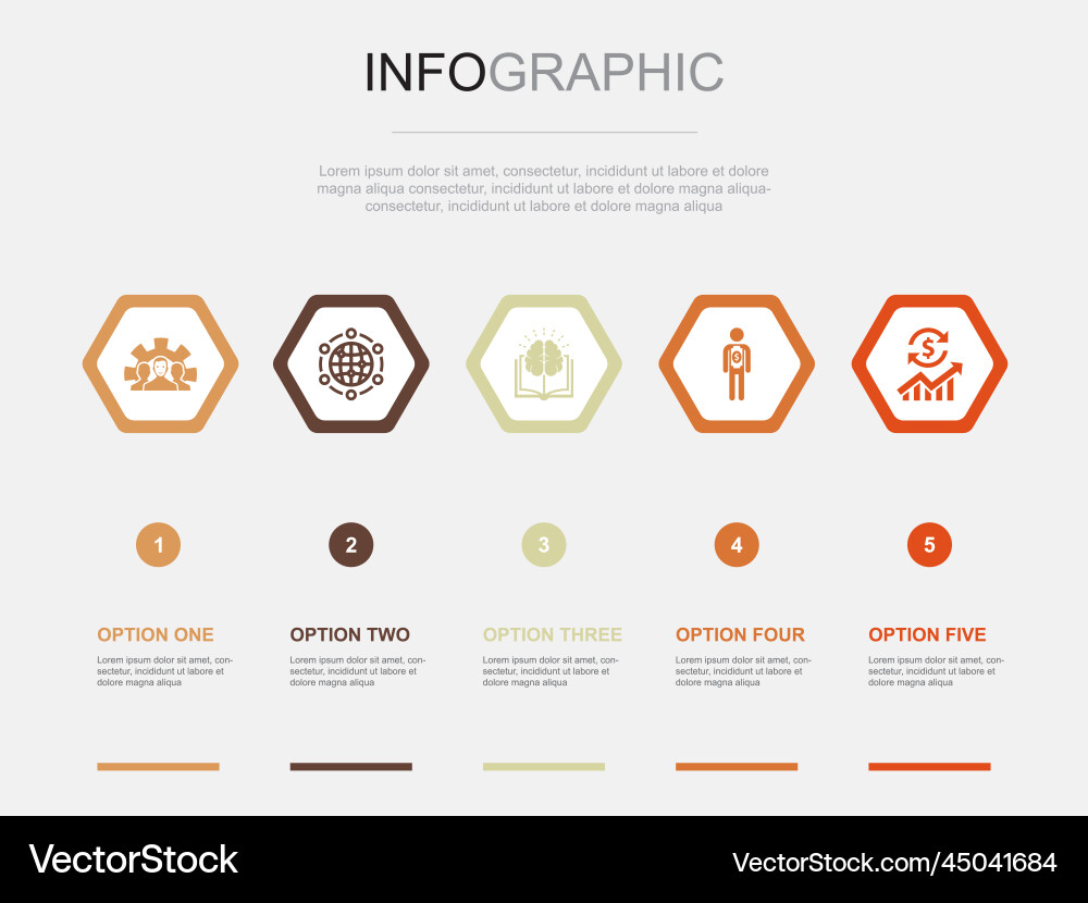 Development Icons - Step-by-Step Infographic Vector Image