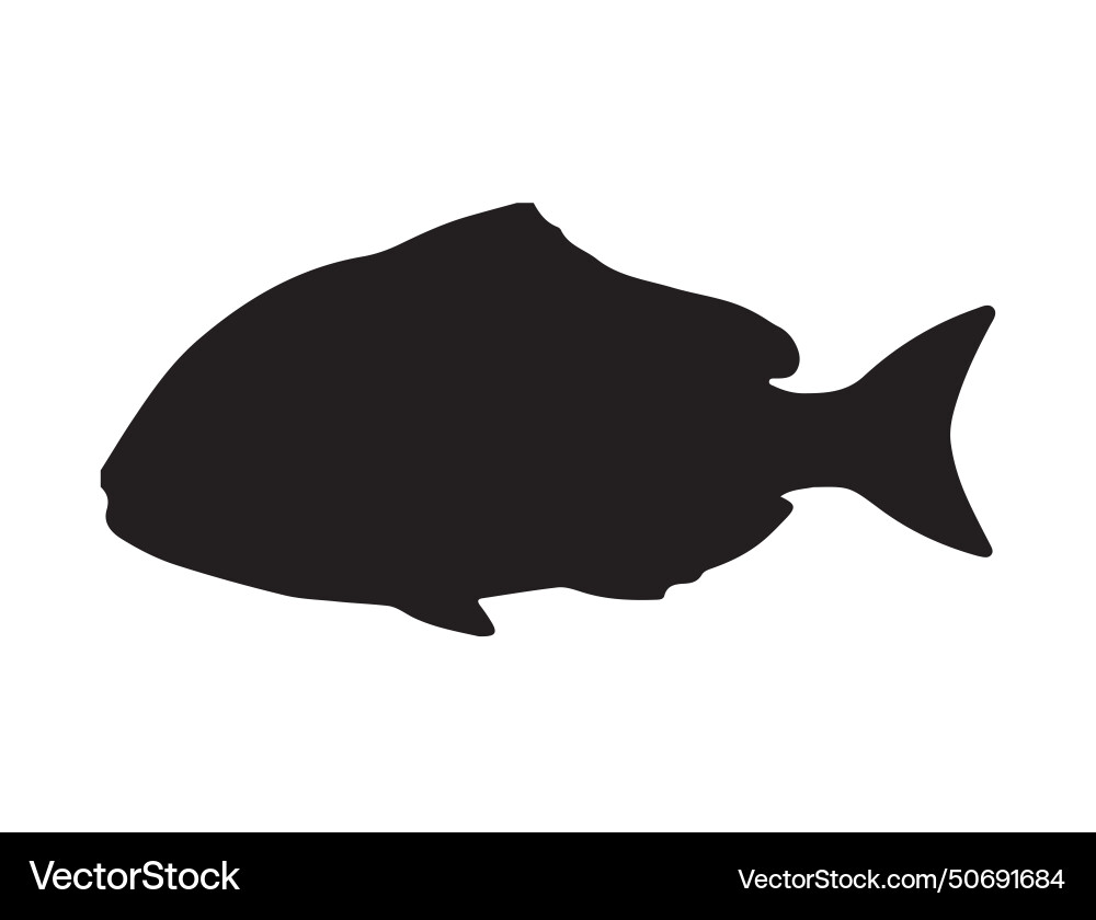 Snapper fish silhouette art Royalty Free Vector Image