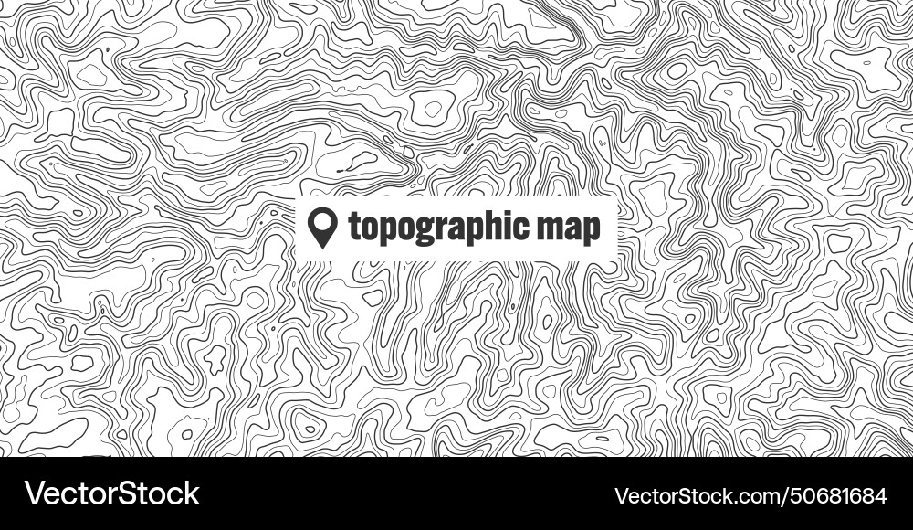Topographic map with contour lines geographic Vector Image