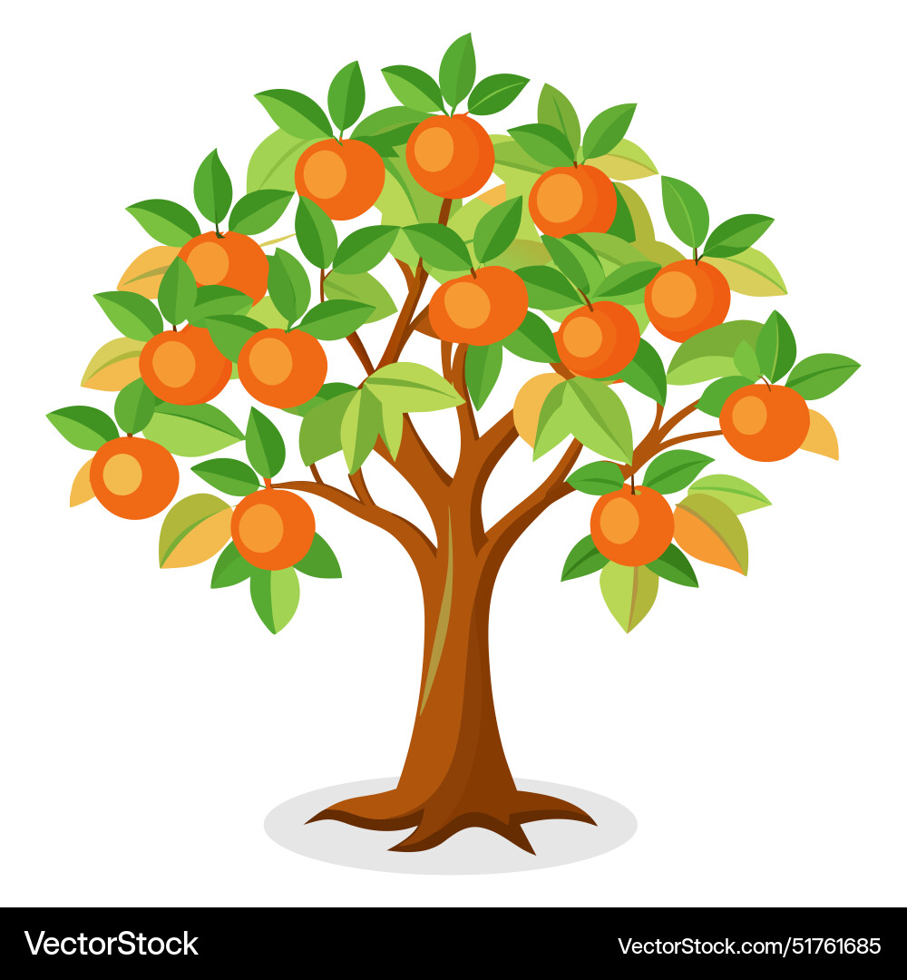 Peach tree isolated flat Royalty Free Vector Image