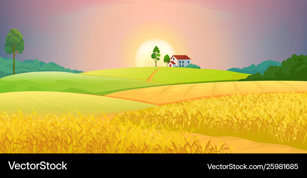 Wheat fields village farm landscape with green Vector Image