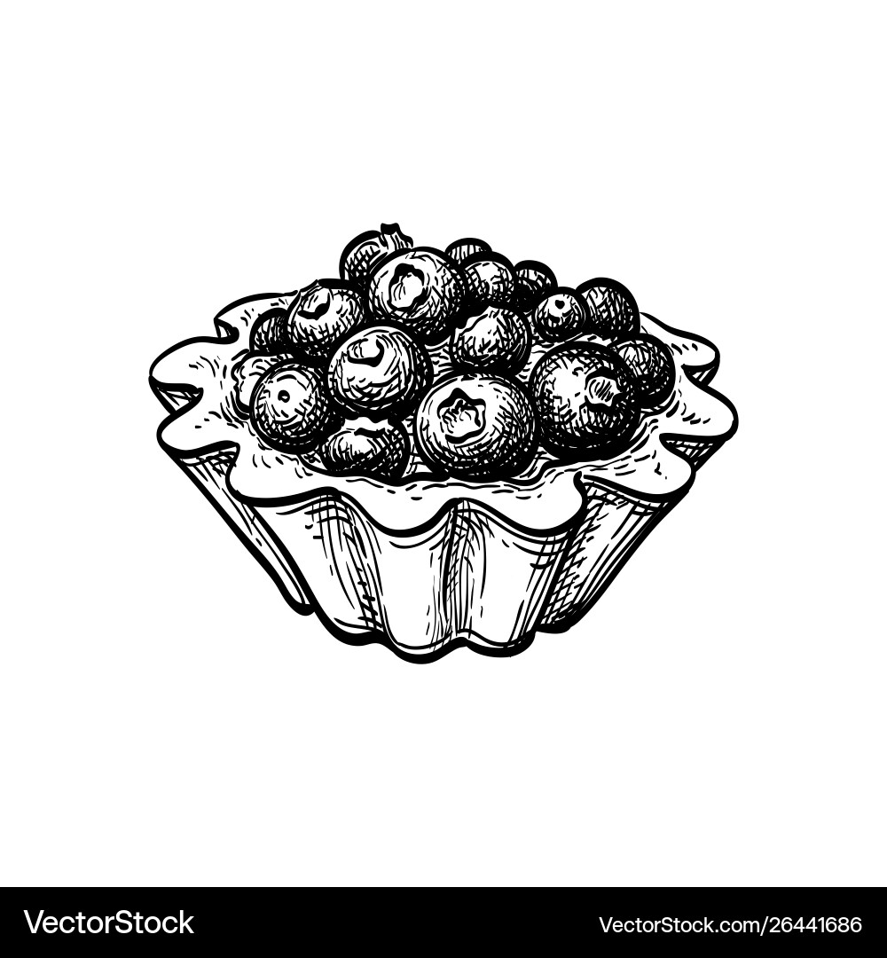 Ink sketch fruit tart with fresh blueberries Vector Image