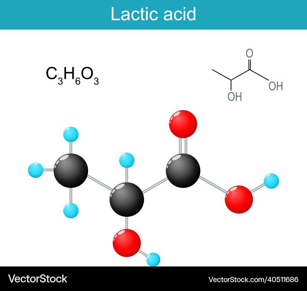 Lactic Acid Structure