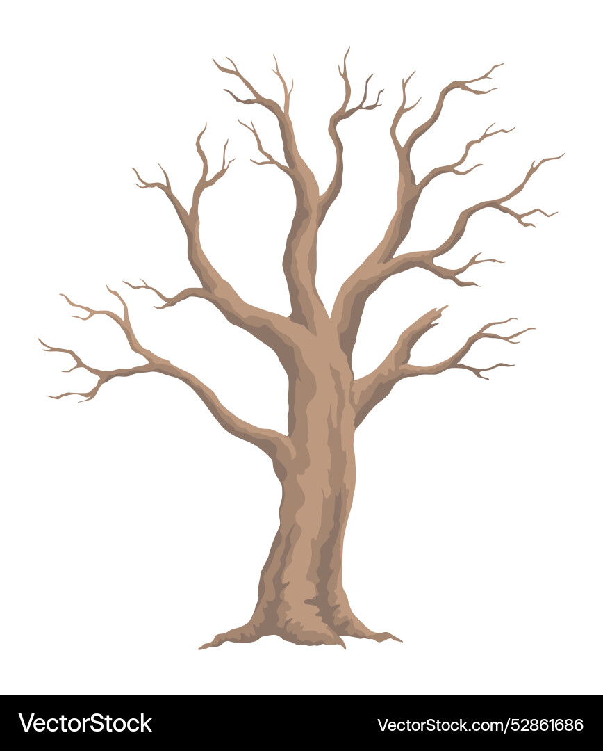 Old dead tree hand draw leafless trunk winter Vector Image