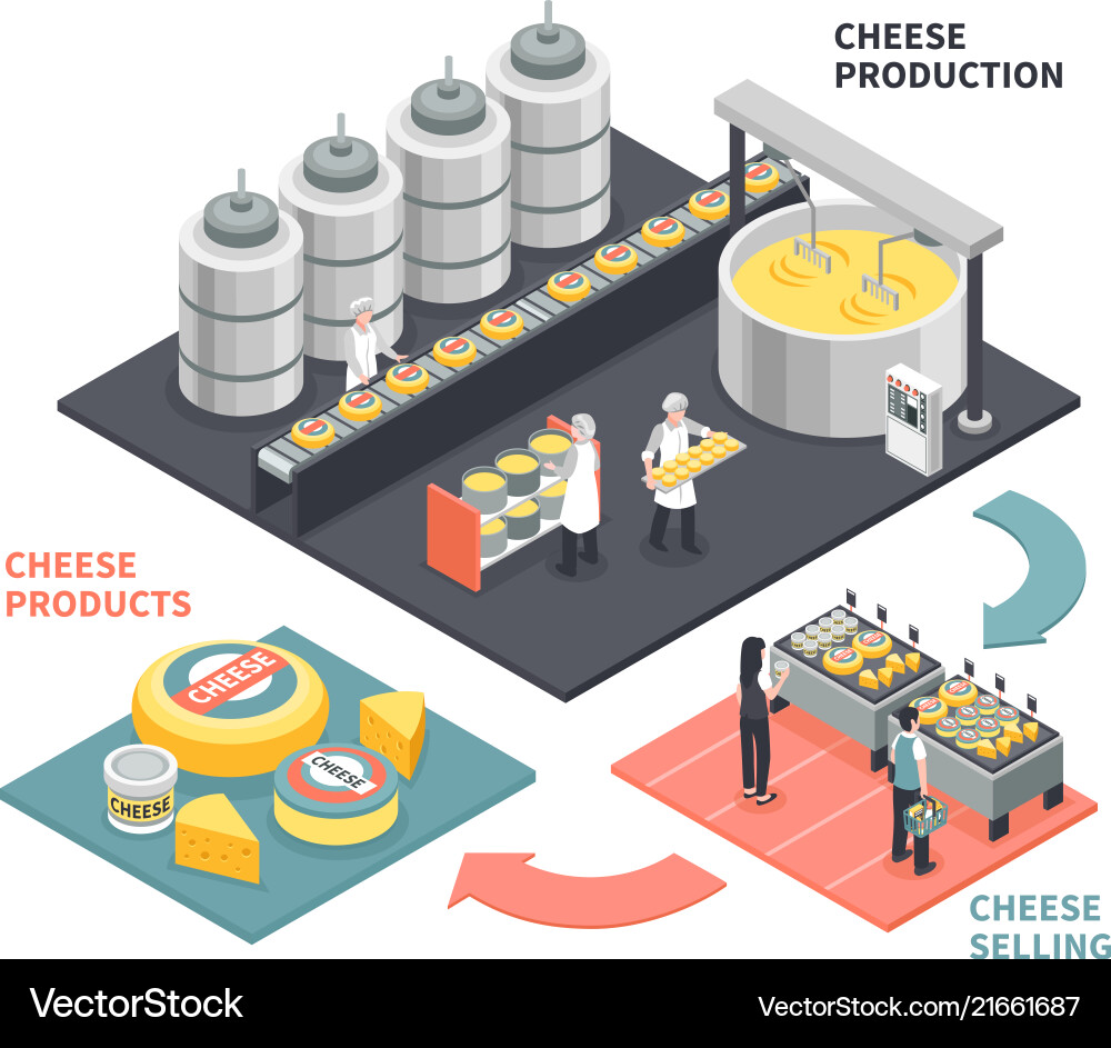 Cheese production Royalty Free Vector Image - VectorStock