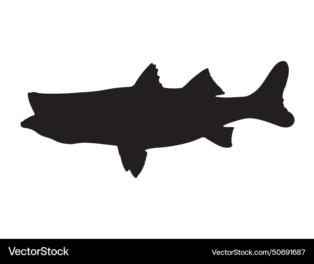 Snook fish silhouette art Royalty Free Vector Image